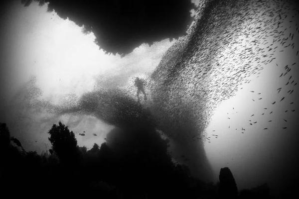 顶级黑白照片长啥样？黑白摄影大赛获奖作品欣赏分析 - 知乎