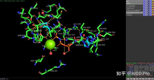 PyMOL绘图实例【03】酶活性位点的展示 - 知乎
