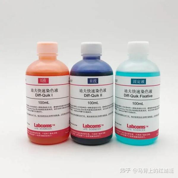 【实验室必备】不同样本涂片的染色原理，操作方法，及注意事项 Staining of smears from different samples ...