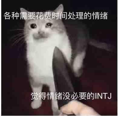 【MBTI系列表情包】INTJ专属表情包 - 知乎