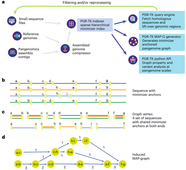 Nat Methods | 新泛基因组研究工具包PGR-TK，可在多种尺度上分析重复/临床相关复杂基因变异 - 知乎