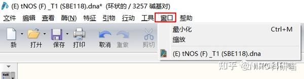 超详细的保姆级SnapGene软件应用汇总，建议收藏备用！！！ - 知乎