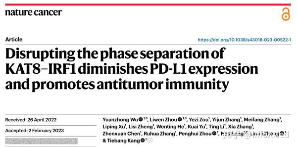 Nature Cancer | 阻断KAT8-IRF1凝聚体形成可抑制PD-L1表达并增强抗肿瘤免疫 - 知乎
