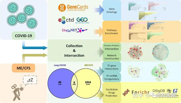双疾病联合分析再发8+，这次你也可以把握住！ - 知乎