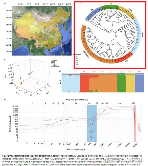 跟着Nature Plants学作图：R语言ggtree包展示进化树 - 知乎