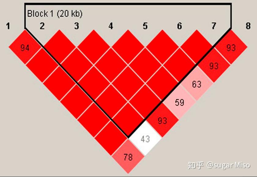 使用LDheatmap快速绘制SNP连锁不平衡图 - 知乎
