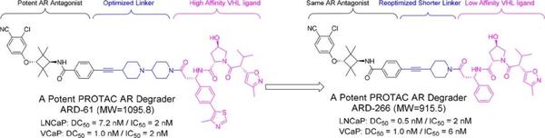 PROTAC三则 - 知乎