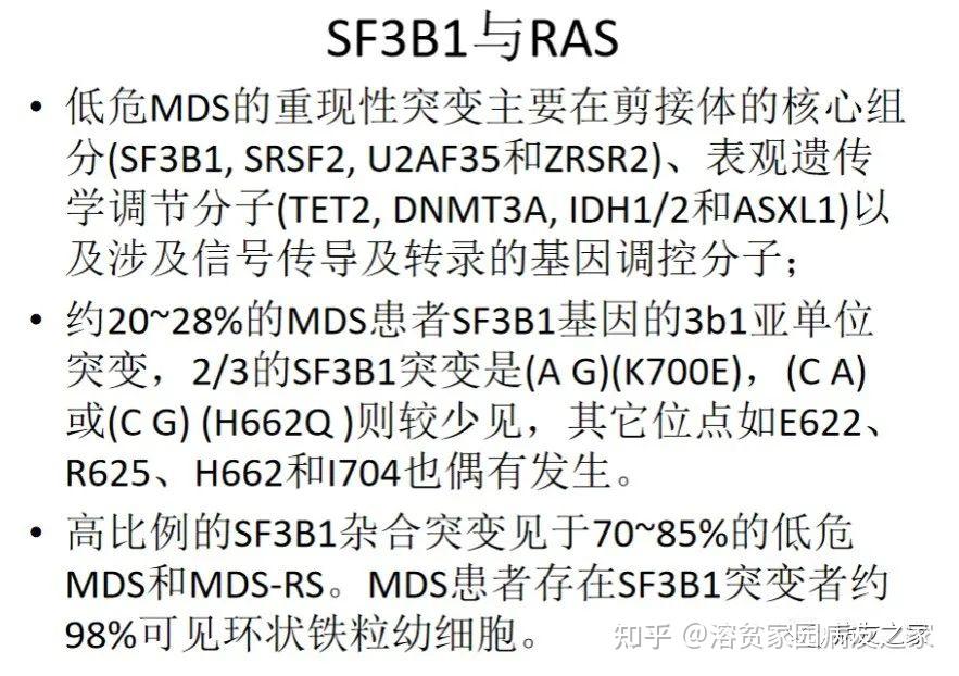 专家讲座 | 刘红教授：骨髓增生异常综合征（MDS）贫血的机制和治疗 - 知乎