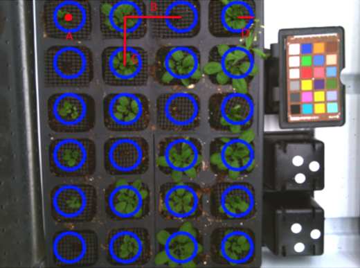 简化具有多个对象的 PlantCV 工作流程 - 知乎