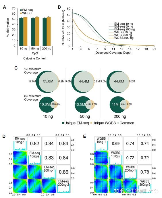 文献解读|EM-Seq从pg级DNA中以单碱基分辨率检测DNA甲基化 - 知乎