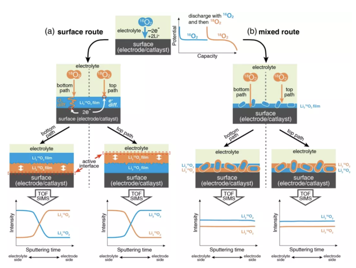 陈宇辉团队今日JACS：Li-O2电池放电的真实反应位点，值得关注 - 知乎