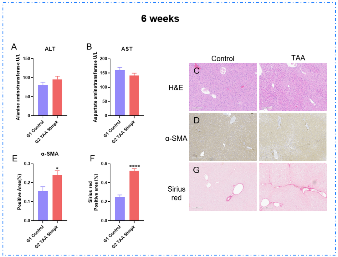 肝纤维化和肺纤维化小鼠模型 - 知乎