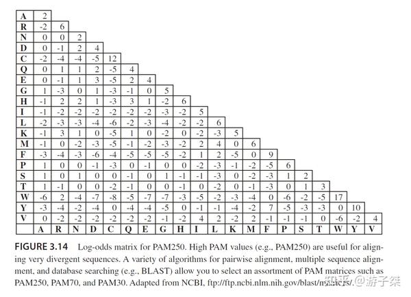如何得到PAM打分矩阵——PAM打分矩阵原理与Dayhoff模型【生物信息学】 - 知乎