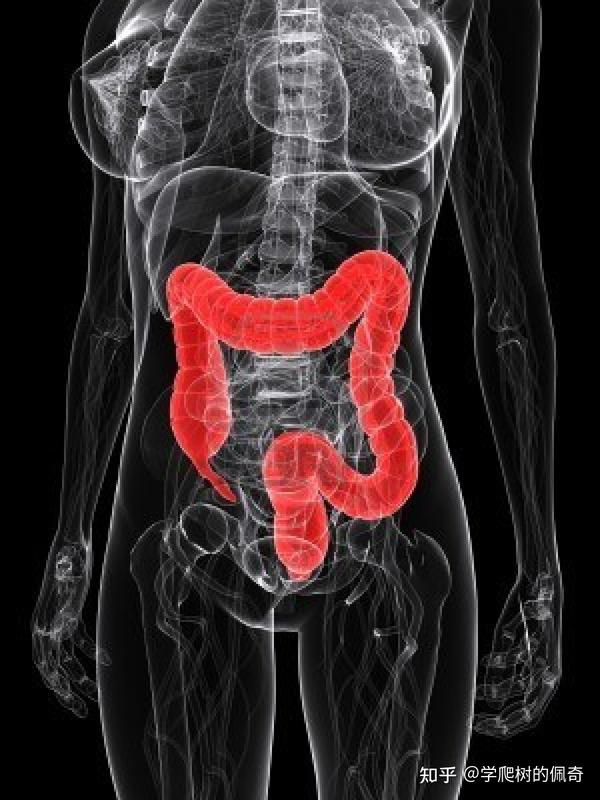 NHANES数据库练手DAY1（年龄与肿瘤） - 知乎