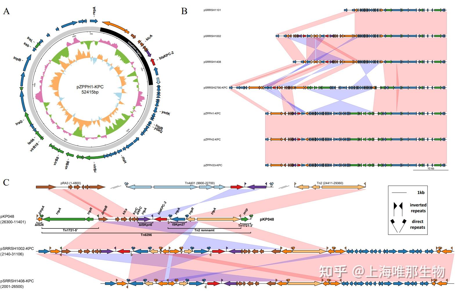 碳青霉烯和头孢他啶-阿维巴坦耐药的铜绿假单胞菌的出现 - 知乎