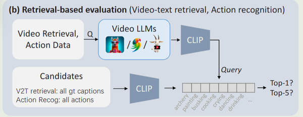 VLM-Eval: A General Evaluation on Video Large Language Models-全文翻译+解读 - 知乎