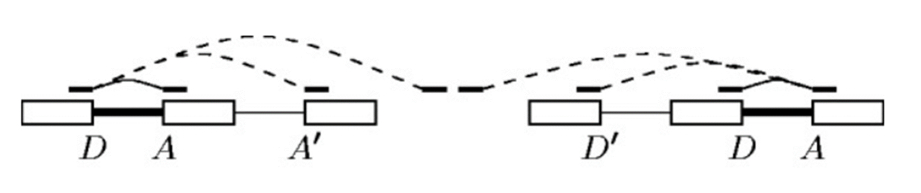 文献精读——Detection of aberrant splicing events in RNA-seq data using FRASER (2) - 知乎