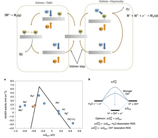 催化审稿人建议加计算，怎么加？别担心，审稿人想看的计算全都有！ - 知乎