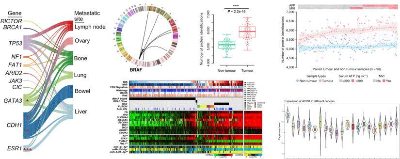 Hiplot Pro |云工具系列--在线绘制优雅的箱线图 - 知乎