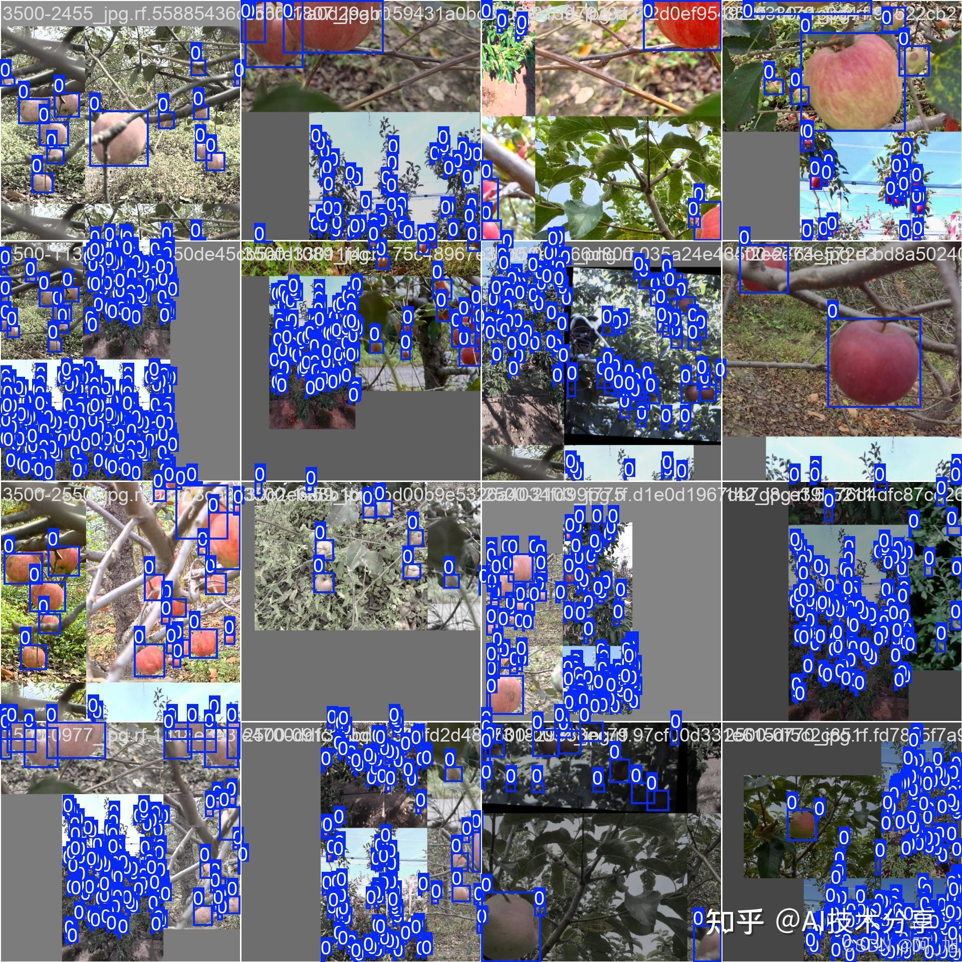 基于yolo11深度学习的果园苹果检测与计数系统设计与实现【python源码pyqt5界面数据集训练代码】 知乎