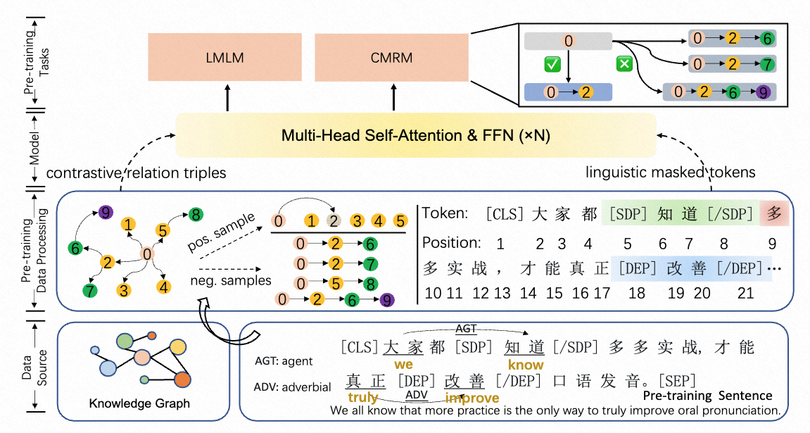 EasyNLP发布融合语言学和事实知识的中文预训练模型CKBERT - 知乎