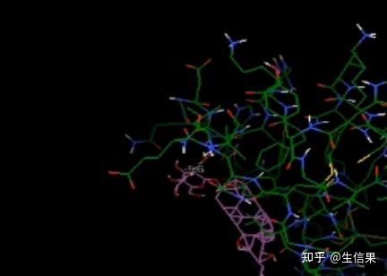 小果带你Autodock快速检查vina对接结果中是否生成氢键6 - 知乎