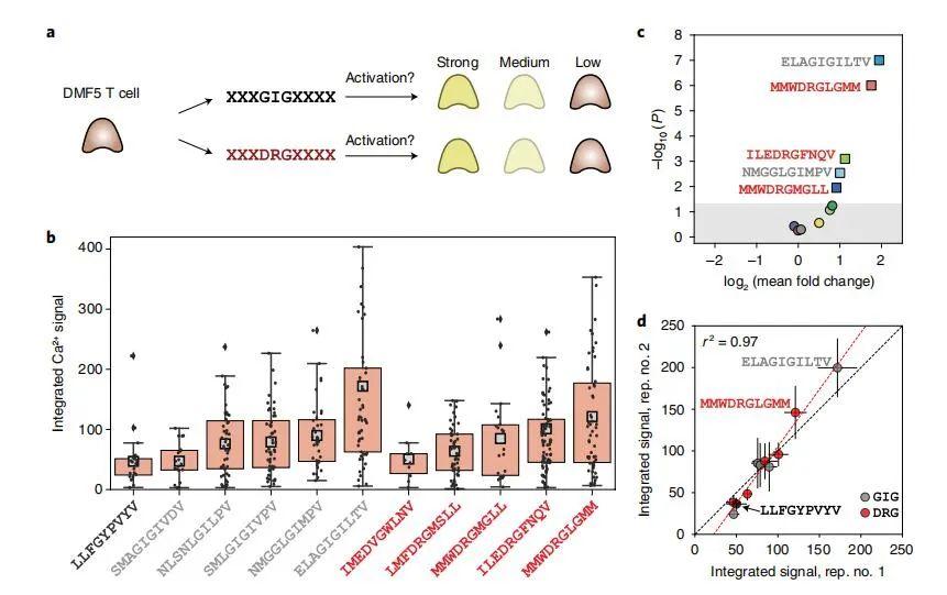 Nat Methods | 高通量绘制T细胞激活序列新方法，快速准确可扩展 - 知乎