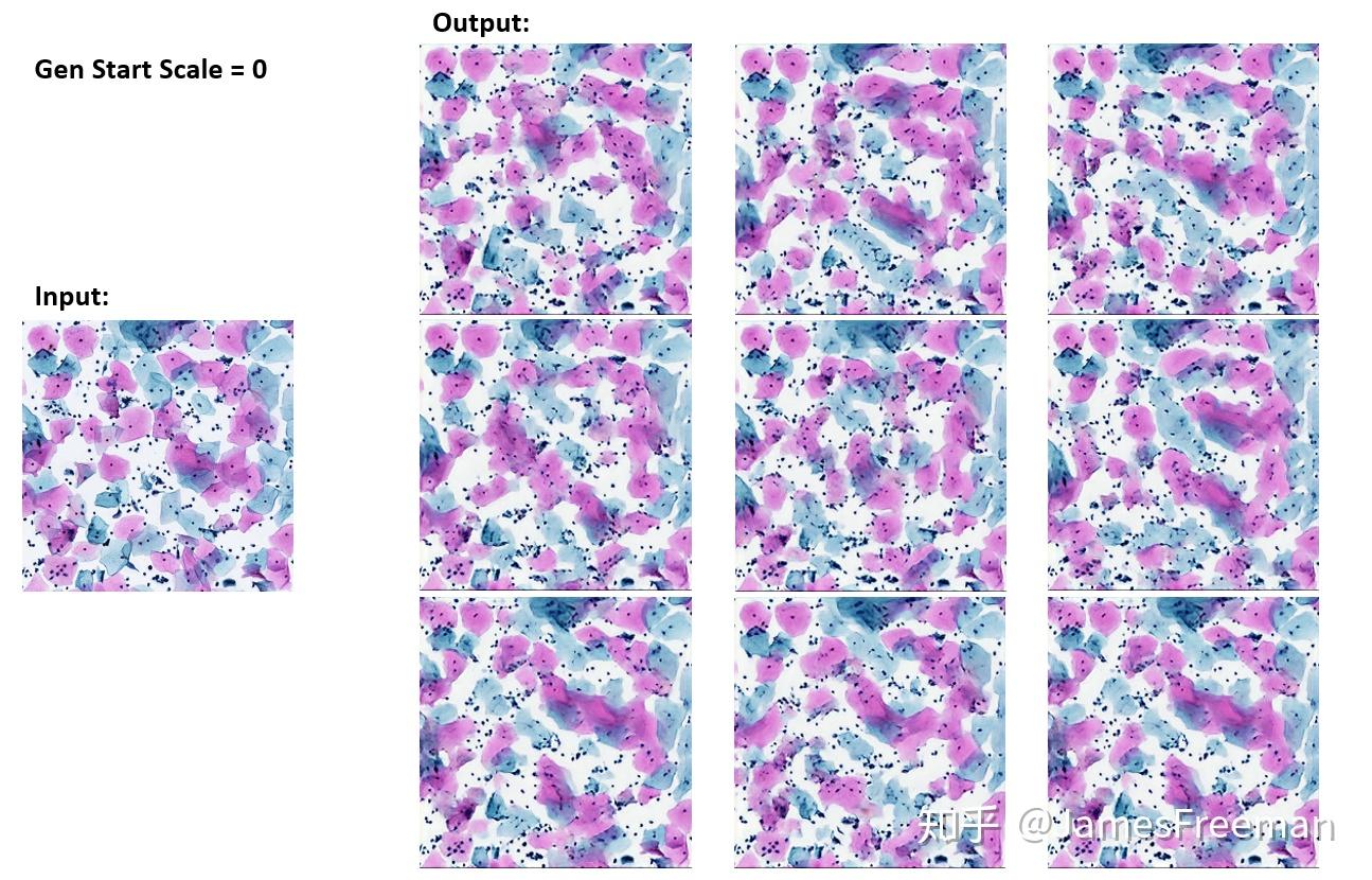 SinGAN for Medical Image - 知乎