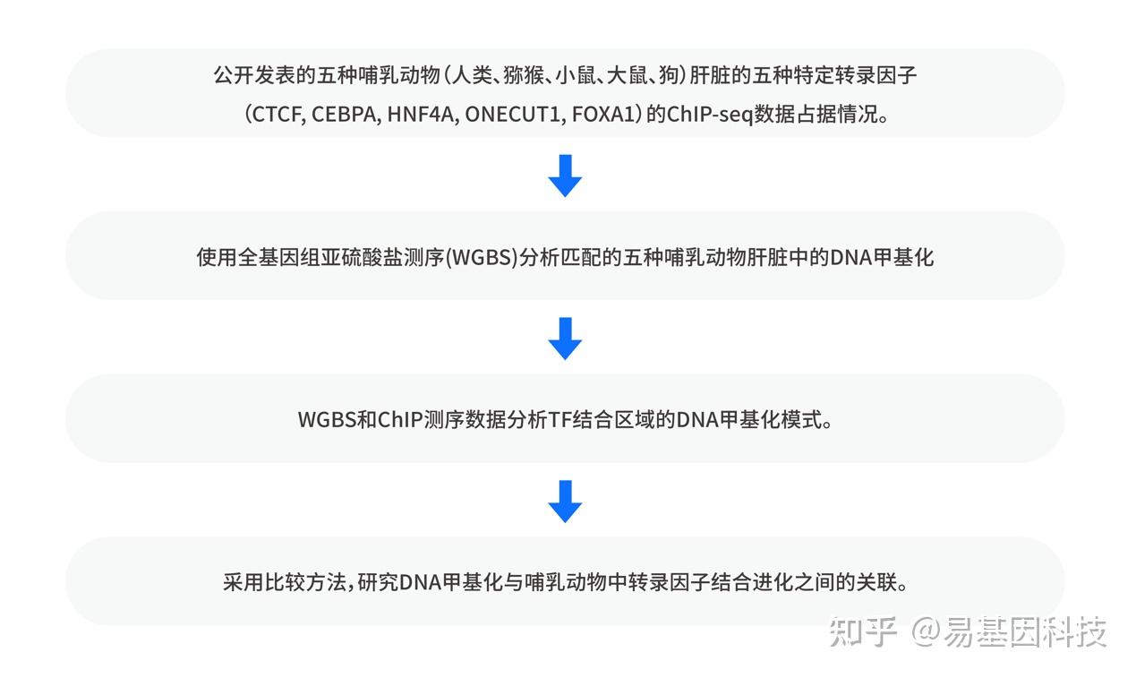 ChIP-seq+WGBS分析揭示转录因子结合区DNA甲基化表征其功能和进化背景 - 知乎