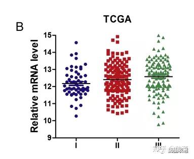 TCGA+GEO单基因生信SCI，15分钟手把手带你复现（内附详细操作教程） - 知乎