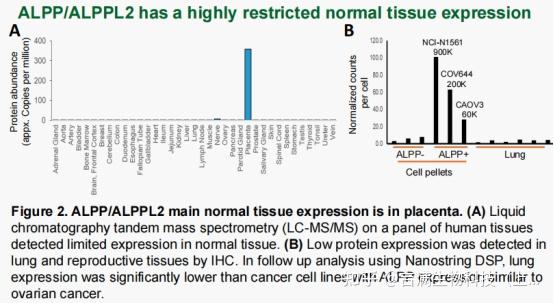 ALPPL2/ALPP: 具有肿瘤特异性的潜力靶点 - 知乎