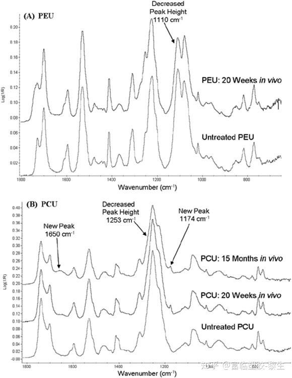 聚碳酸酯聚氨酯PCU和聚醚聚氨酯PEU的生物降解： 体内研究 - 知乎