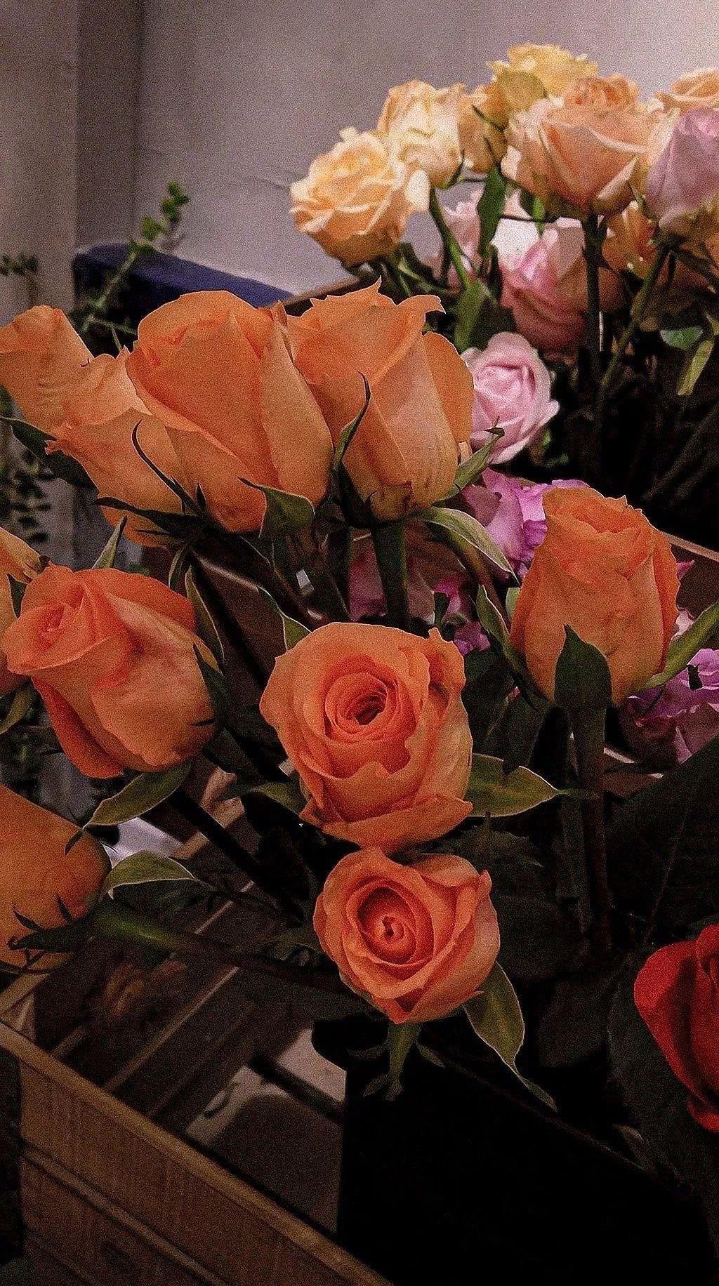 105张特别的手机壁纸~~~ - 知乎