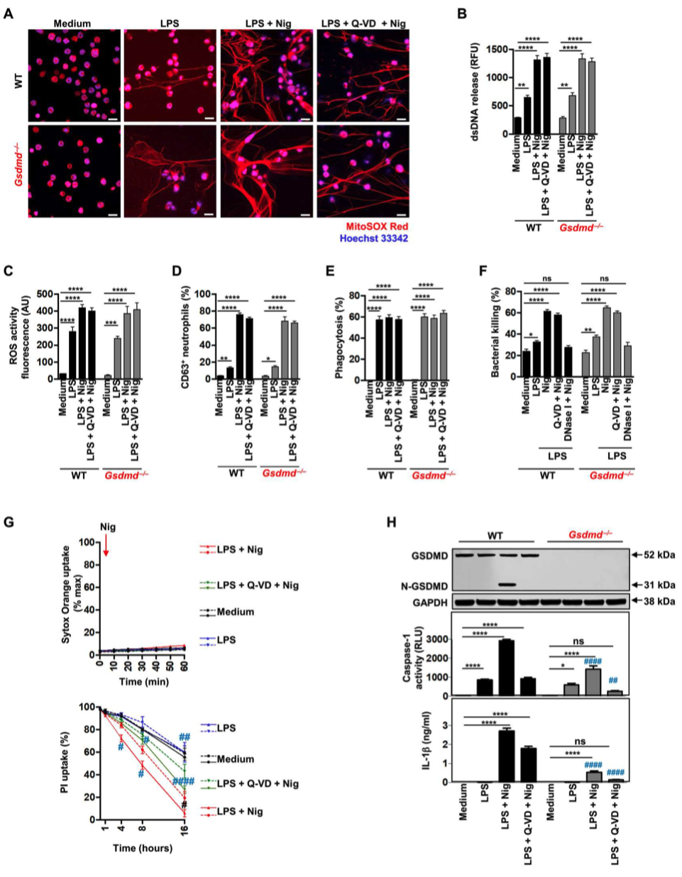 Science子刊丨NET 的形成与 gasdermin D 和细胞焦亡无关 - 知乎
