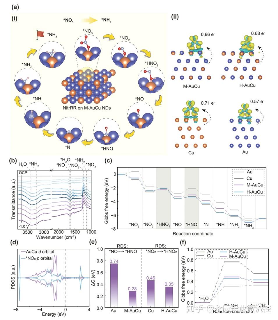 清华大学&华东理工大学&厦门理工学院：两阶段微流控策略制备高性能AuCu纳米枝晶，助力清洁氨生产 - 知乎
