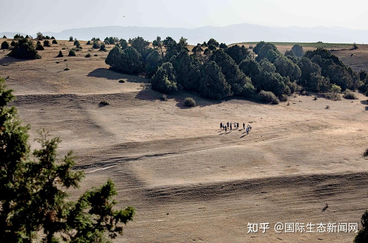 乌兹别克斯坦山区出土的中世纪丝绸之路大都市 - 知乎