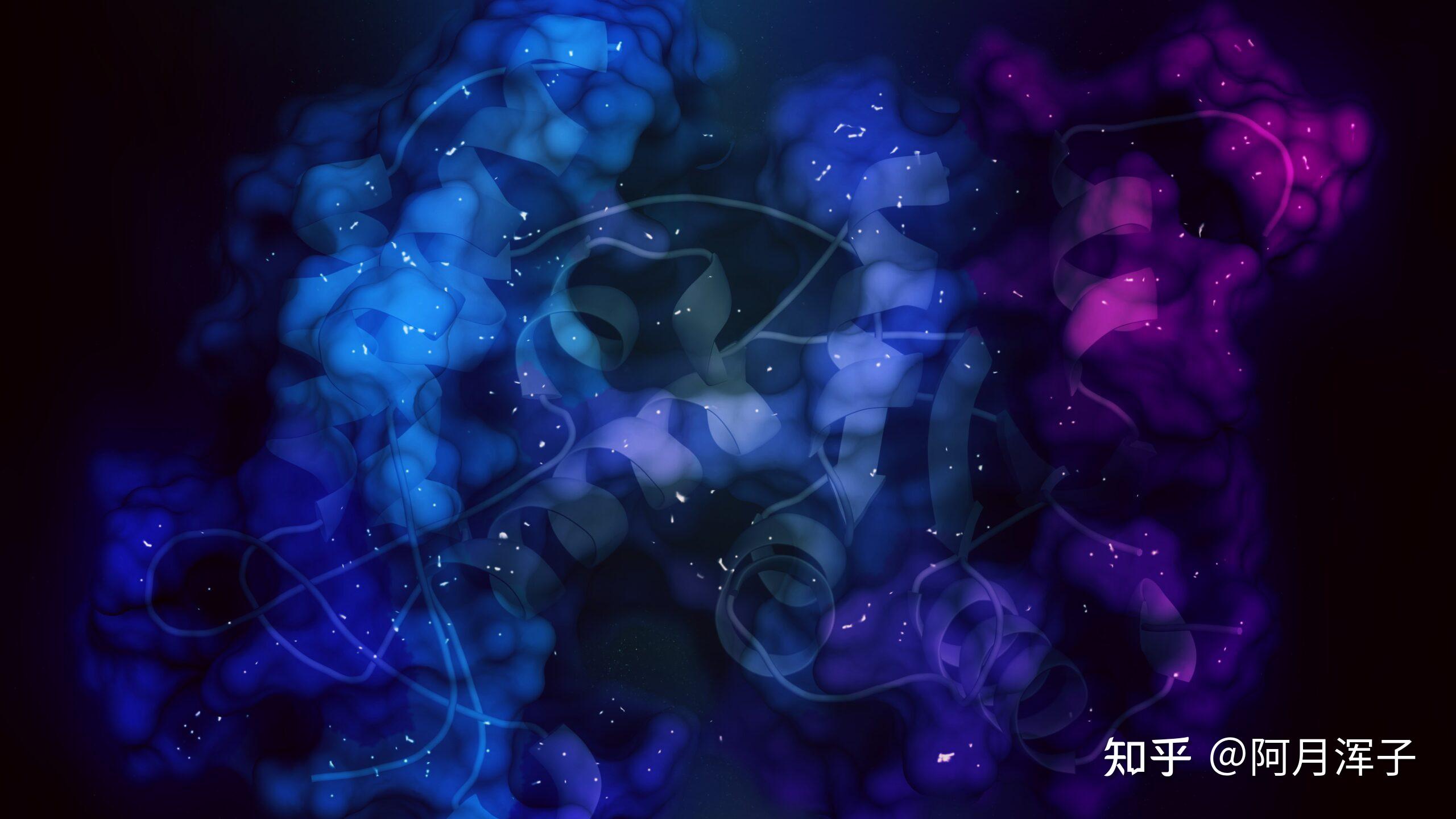 多发性骨髓瘤治疗方案大比拼：Dara-VTD与RVD谁更厉害？答案藏在这场研究里 - 知乎