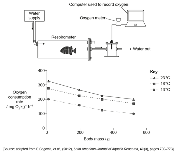 2.8 Cell respiration 细胞呼吸 - 知乎