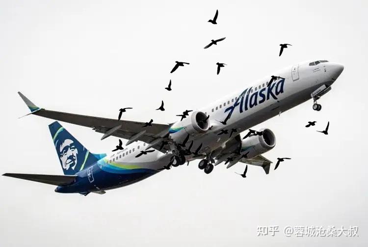 阿拉斯加航空再遇空中惊魂：撞过鸟撞过熊，还有猪马鹿和野牛！还有谁？ - 知乎