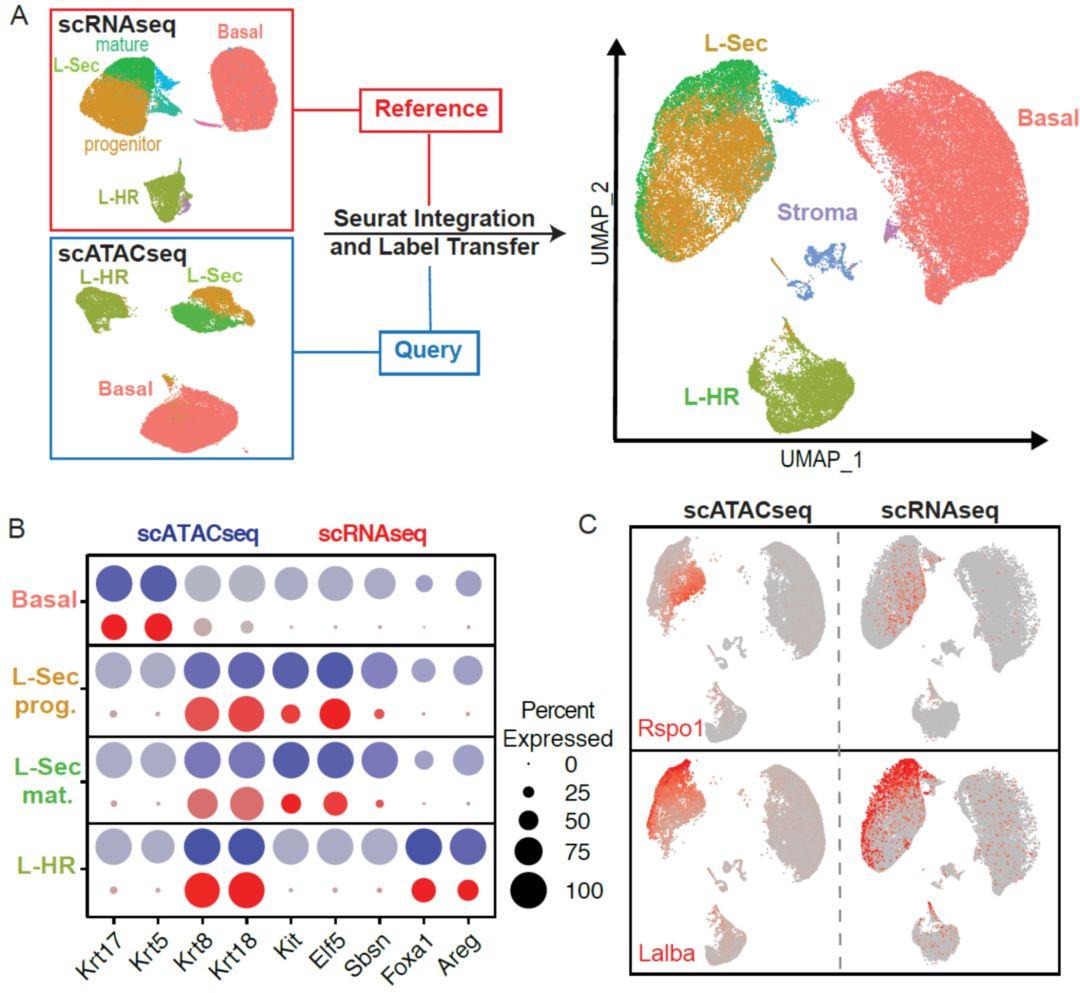 一文读懂表观遗传学研究利器——ATAC-seq技术及应用丨深度长文 - 知乎