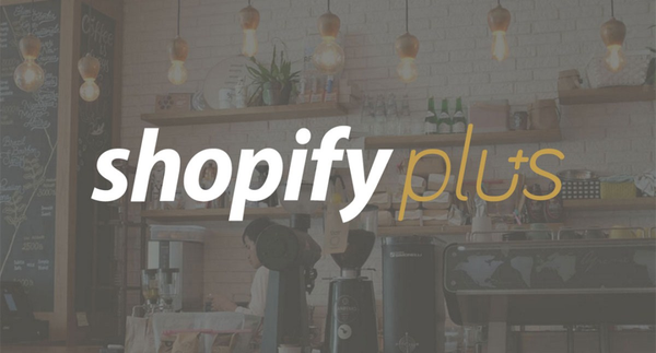 6倍广告支出回报率，Shopify这个营销工具让你的网店实现爆单 - 知乎