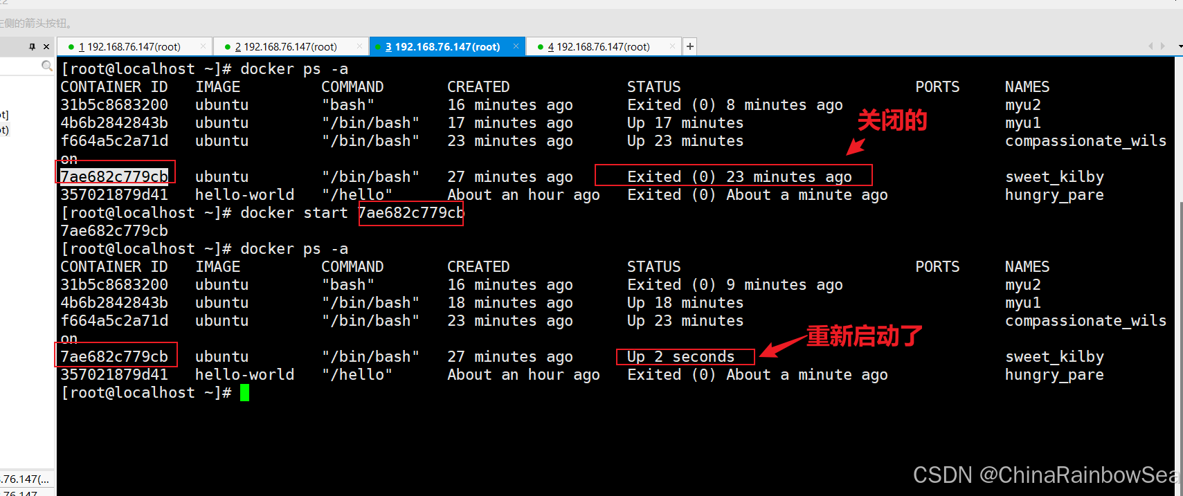 3. Docker 常用命令(详细说明附有截图) - 知乎