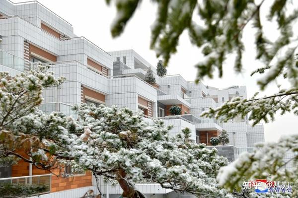 【朝中社】今年初雪为首都平壤披上华丽衣裳 - 知乎