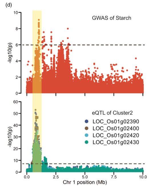 文献阅读笔记丨基于群体转录组分析基因调控机制 - 知乎