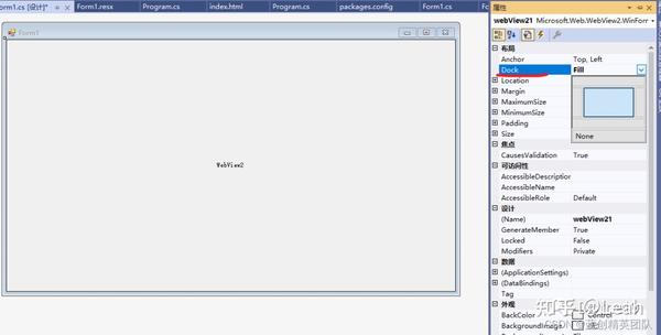 .Net WebView2 项目，实现 嵌入 WEB 页面 Chromium内核
