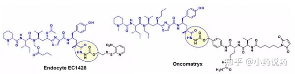 收藏！ADC全景概况（payload，linker，conjugate和Endocytosis） - 知乎