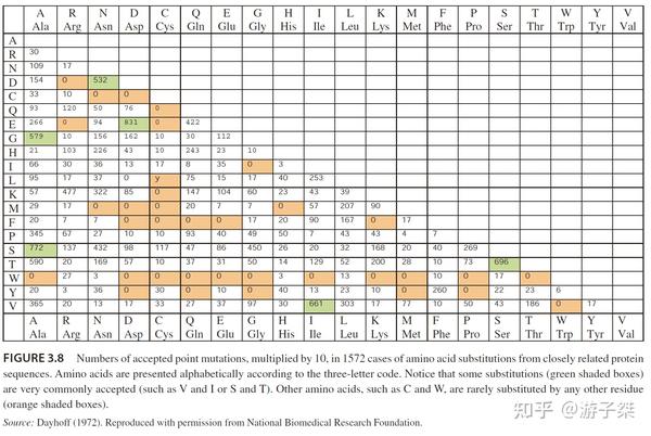 如何得到PAM打分矩阵——PAM打分矩阵原理与Dayhoff模型【生物信息学】 - 知乎