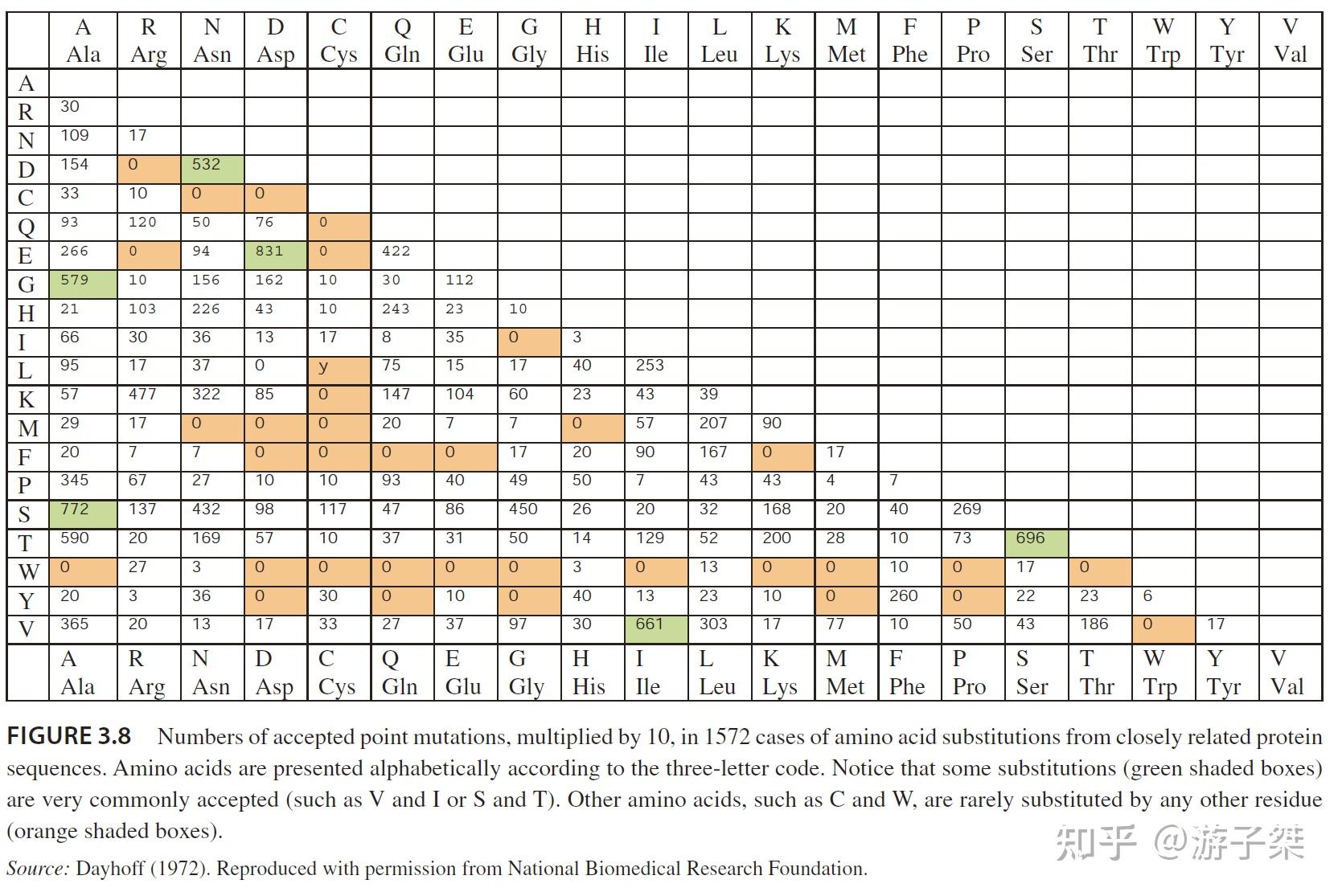 如何得到PAM打分矩阵——PAM打分矩阵原理与Dayhoff模型【生物信息学】 - 知乎