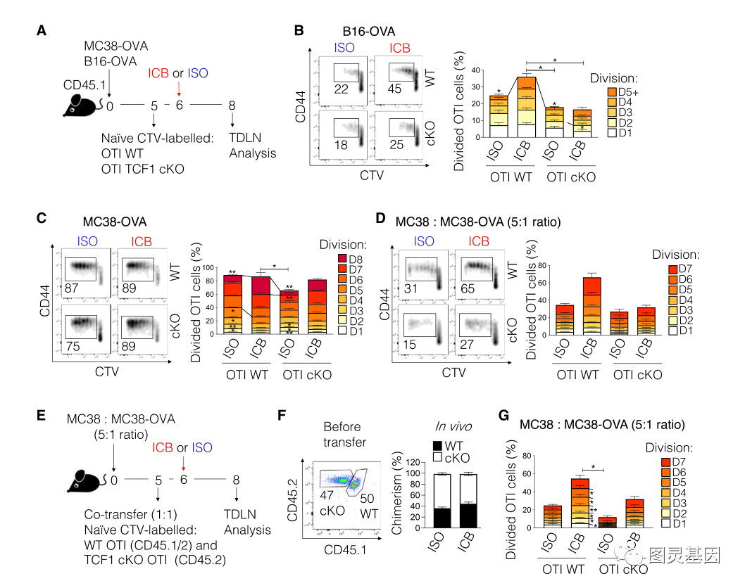 Can Cell | 哈佛医学院揭示肿瘤免疫原性决定免疫治疗对TCF1的依赖性 - 知乎