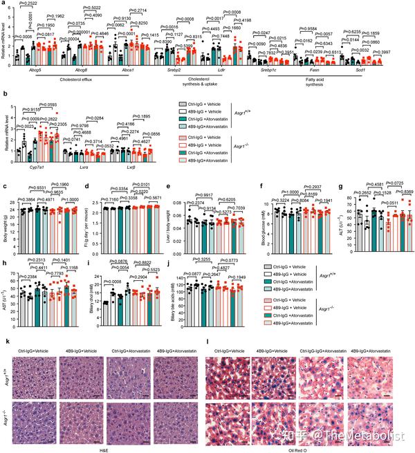 代谢学人--Nature: 驱逐胆固醇，Asgr1有奇效！ - 知乎